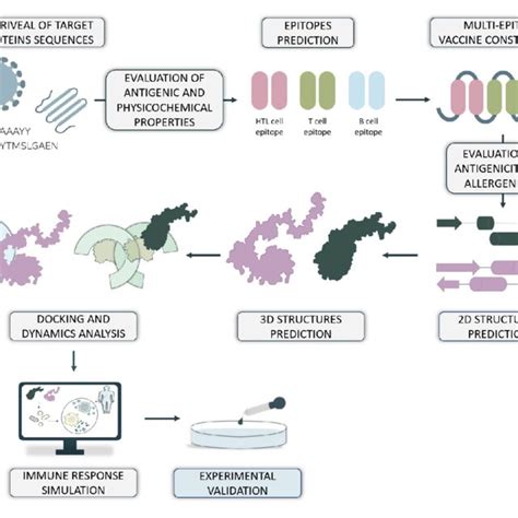 General Protocol For Next Generation Multi Epitope Vaccine Design The Download Scientific