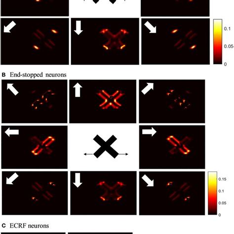 A The Activity Of The Neurons Selective To The Component Motion In