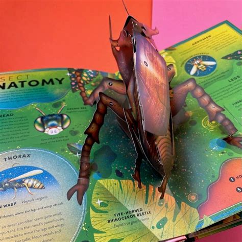 the incredible pop up bug with 20 flaps to lift and giant pop ups