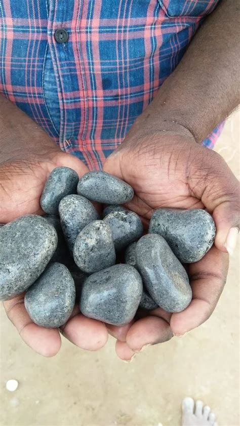 Grey Pebble Size 20 Mm At ₹ 19 5 Kg In Mettur Id 2854900712812