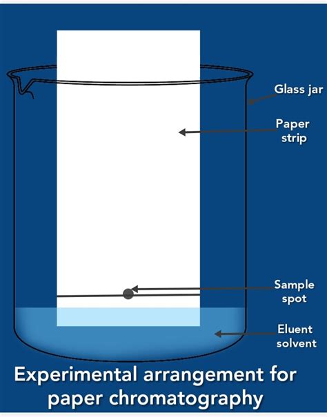 Separation Techniques Chromatography Its Classification And Paper