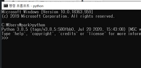 파이썬 개발환경 셋팅 대학원생말고 개발자 스타일 코딩애플 온라인 강좌