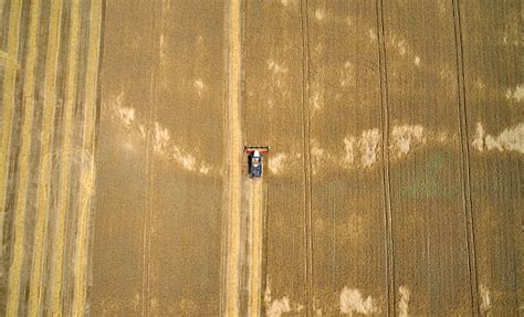 여름에 밀수확 현장에서 일하는 두 개의 빨간 수확기 필드에 황금 잘 익은 밀을 수집 수확기 농업 기계를 결합합니다 위에서 볼 수 있습니다 가을에 대한 스톡 사진 및 기타