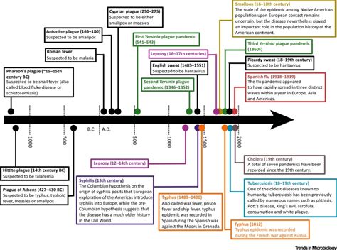Black Death Timeline