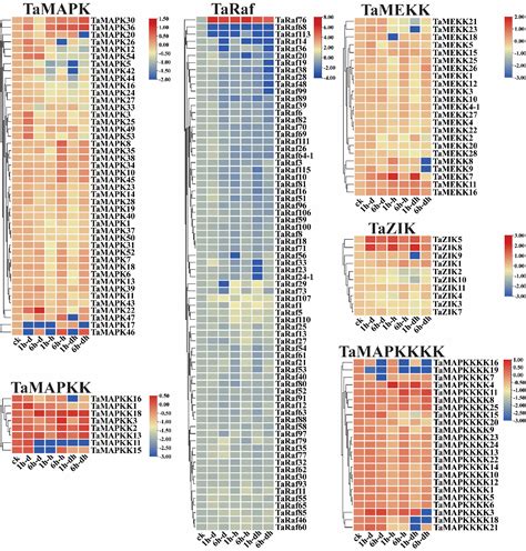 Figure 1 From Bioinformatic Identification And Expression Analyses Of