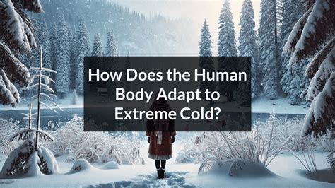 How Does The Human Body Adapt To Extreme Cold Curiosity Unlocked