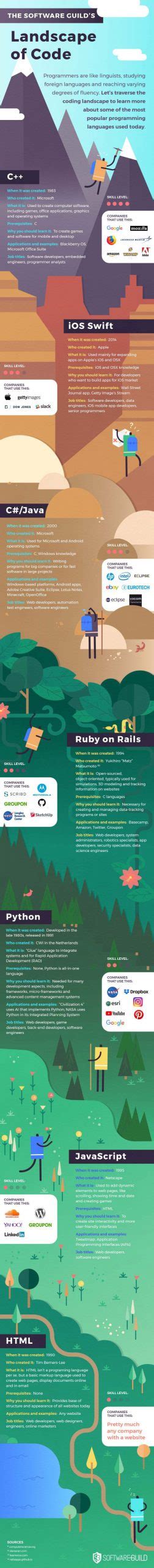 The Landscape Of Code Infographic Best Infographics