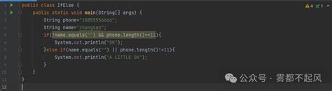 深入理解java中的if判断语句：用代码解锁逻辑世界java If逻辑判断 Csdn博客
