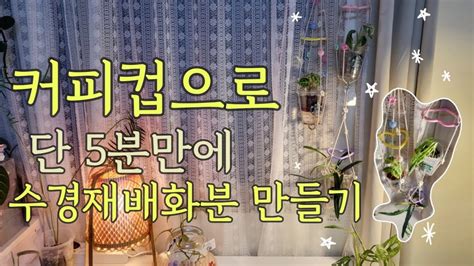 5분만에 완성하는 스타벅스 커피컵 행잉화분🪴 수경재배 행잉화분 만들기 재활용 행잉화분의 끝판왕 여러개의 화분을 하나의 행잉으로 거는법 원룸 플랜테리어 필수 다이소