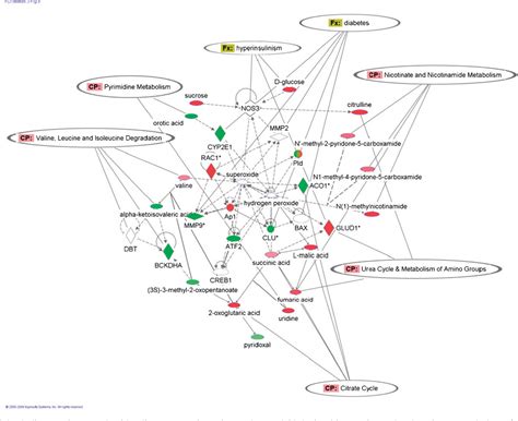 Figure 8 From Integration Of Metabolomics And Transcriptomics Data To