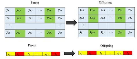 Swap Mutation Operator For Discrete Chromosomes Download Scientific