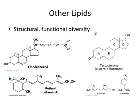 Lipids And Membranes Pratt And Cornely Ch Ppt Download