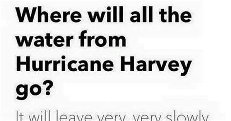 Answer The Question Please Album On Imgur