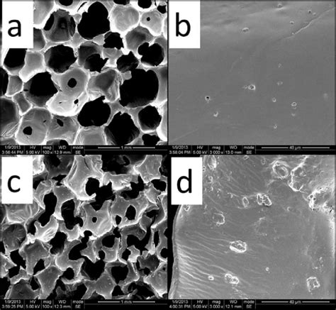 Sem Photographs Of The Unmodified Foam A B And The Modified Foam