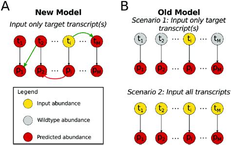 diagram of transcript protein models a diagram describing our model