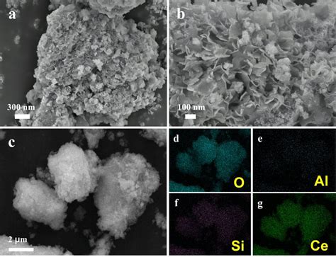 a b sem images and c edx mapping analysis of the obtained cb 1