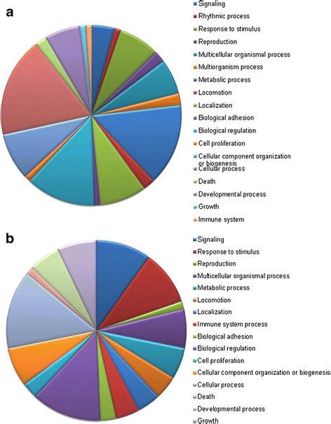 Biological Process Related GO Terms For The HT Versus LT Group Download Scientific Diagram