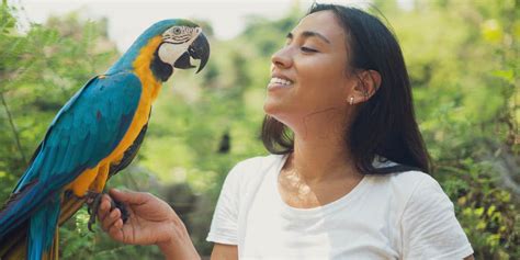 Woman Prioritizes Rescue Parrot Over Stepdaughter S Wedding Yourtango