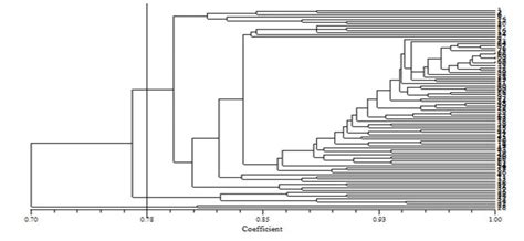 dendrogram of 90 investigated genotypes related to obtained data of