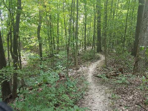 Chikaming Park Kirk Schrader Mtb Trails Mountain Bike Trail In Three