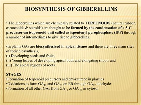 Role Of Gibberellins Mode Of Action And External Applicationspptx