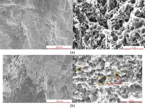Fracture Morphology Of Samples By Slr And Slm A No 1 B No 5