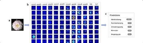 Vgg16 Model Recognition A An Input Image B The Feature Extraction