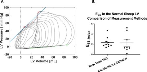 Representative Conductance Catheter PV Loops A Comparison Of E Download Scientific Diagram