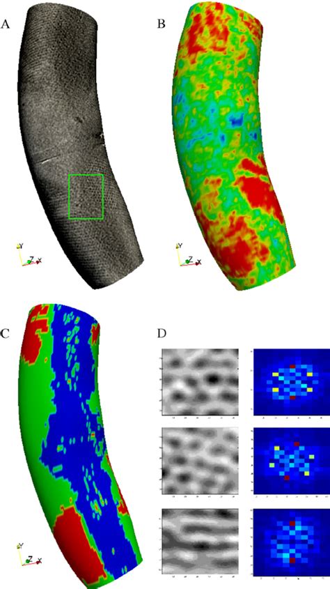 S Layer Visualization For C Crescentus Wild Type Strain A Rendering