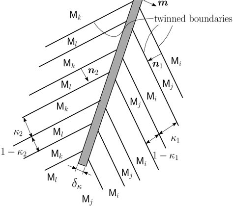A Schematic Of Twins Within Twins Download Scientific Diagram