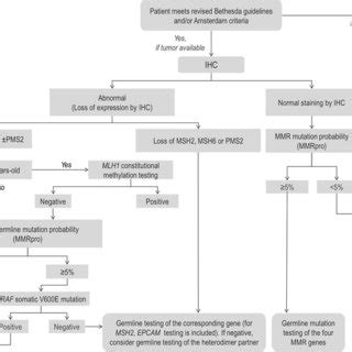 Proposed Algorithm For Systematic Evaluation Of Lynch Syndrome In Download Scientific Diagram