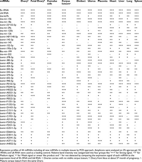 Detection And Expression Of Selected Mirnas In Multiple Tissues