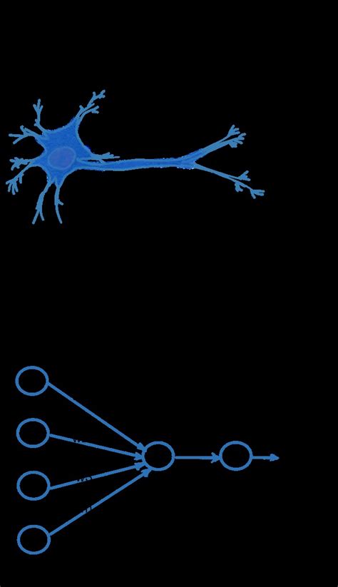 Artificial Neural Networks Diagrams
