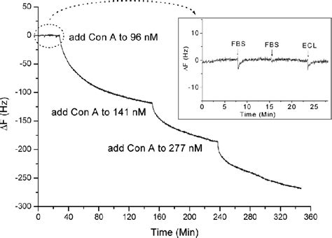 Figure 1 From Non Labeled Qcm Biosensor For Bacterial Detection Using