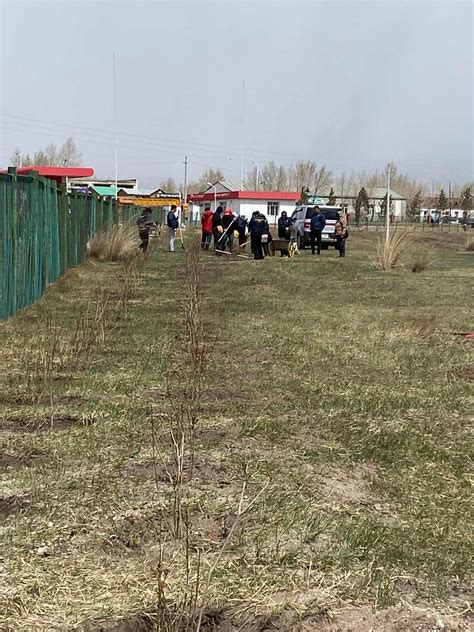 Зуунмод сумын Ногоон байгууламжийг нэмэгдүүлэх ажлын хүрээнд сумын ИТХ