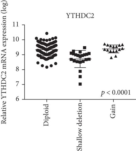 the relationship between different cnv patterns and mrna expression