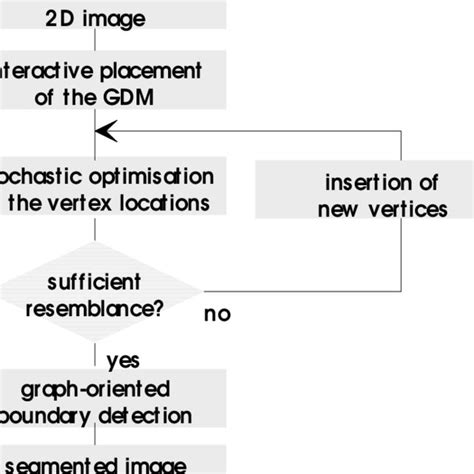 Structure Of The Segmentation Algorithm Download Scientific Diagram