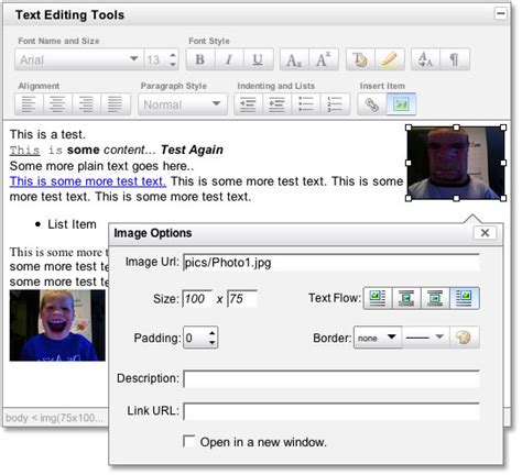 yui 2 rich text editor