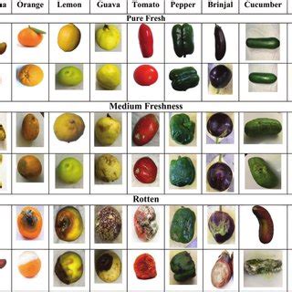 PDF Fruits And Vegetables Freshness Categorization Using Deep Learning