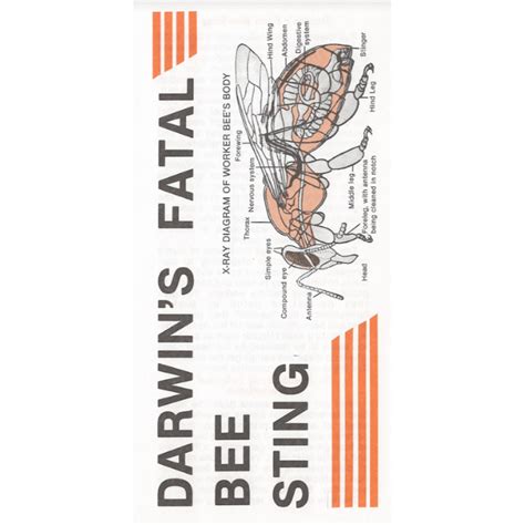 Darwins Fatal Bee Sting 1308