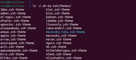Guide To Installing And Customizing Oh My Zsh On Ubuntu