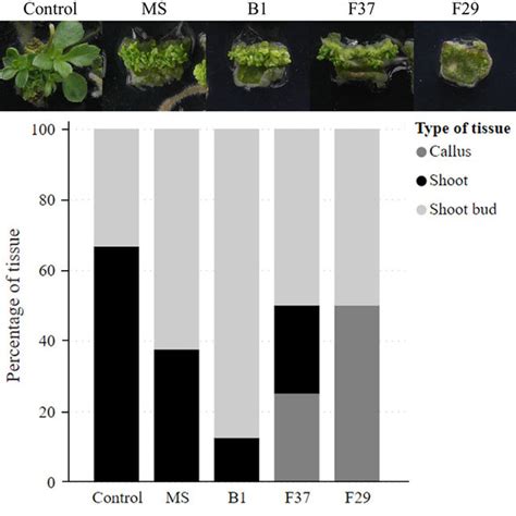 Effect Of Different Treatments And Fungal Ice Nucleation Activity Ina Download Scientific