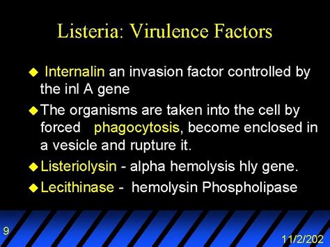 Listeria Erysipelothrix Filename Listeria Ppt 1 112202 Outline