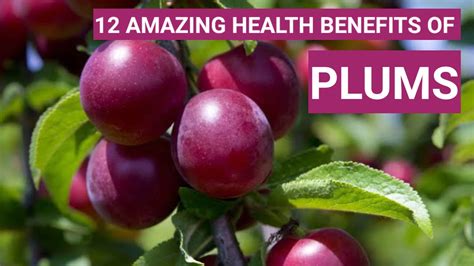 Benefits Of Plums Sexually At Alexander Feinstein Blog