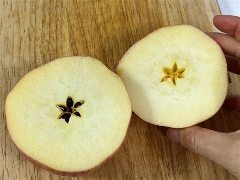 사과는 이제 옆으로 자르세요 가장 쉽고 빠른 사과 손질법 텐꿀팁