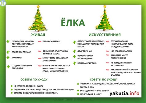 Как правильно выбрать новогоднюю ёлку Новости Якутии Якутия Инфо