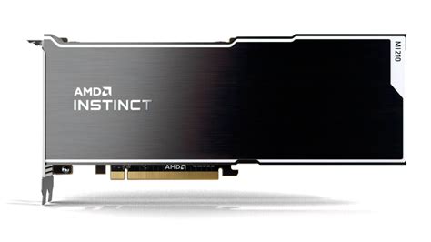 Amd Instinct Mi210 Mcm Gpu Accelerator With 64 Gb Hbm2e Memory Is Priced A Staggering 16 500 Us