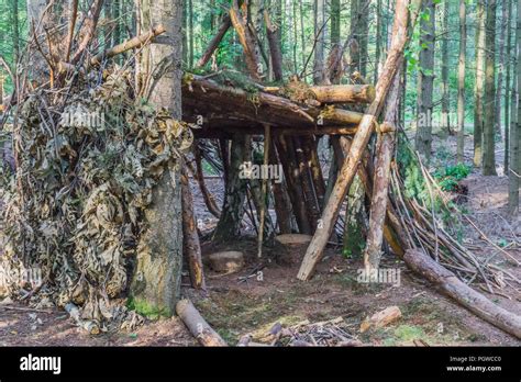 Self Build Tree Hut Of Branches And Leaves With Seats Stock Photo Alamy