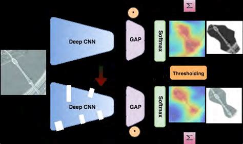 Block Diagram For Class Activation Map Extraction For Intact Cnn Top