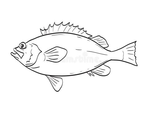 Redfish Outline